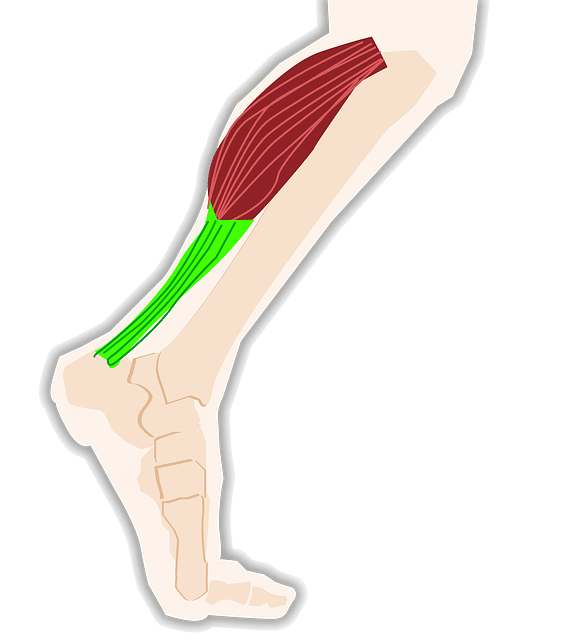 Wade Muskelfaserriss